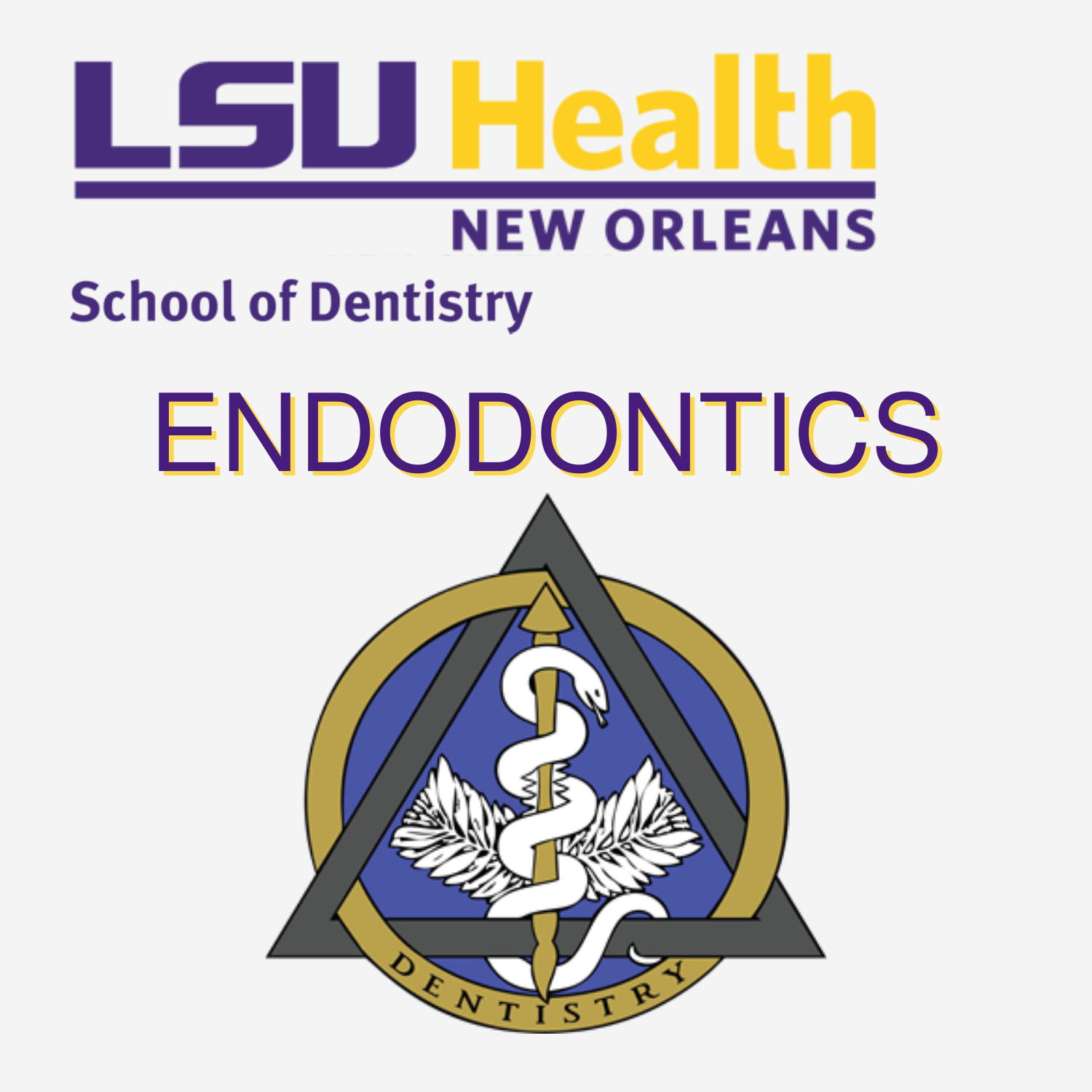 Louisiana State University Health New Orleans School of Dentistry ...